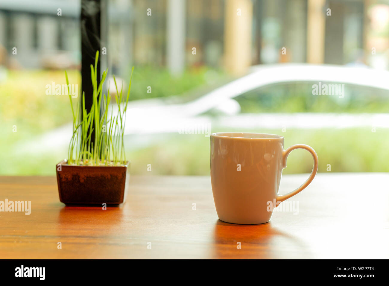 White ceramics coffee mug with smoke and small plant on wooden table in ...