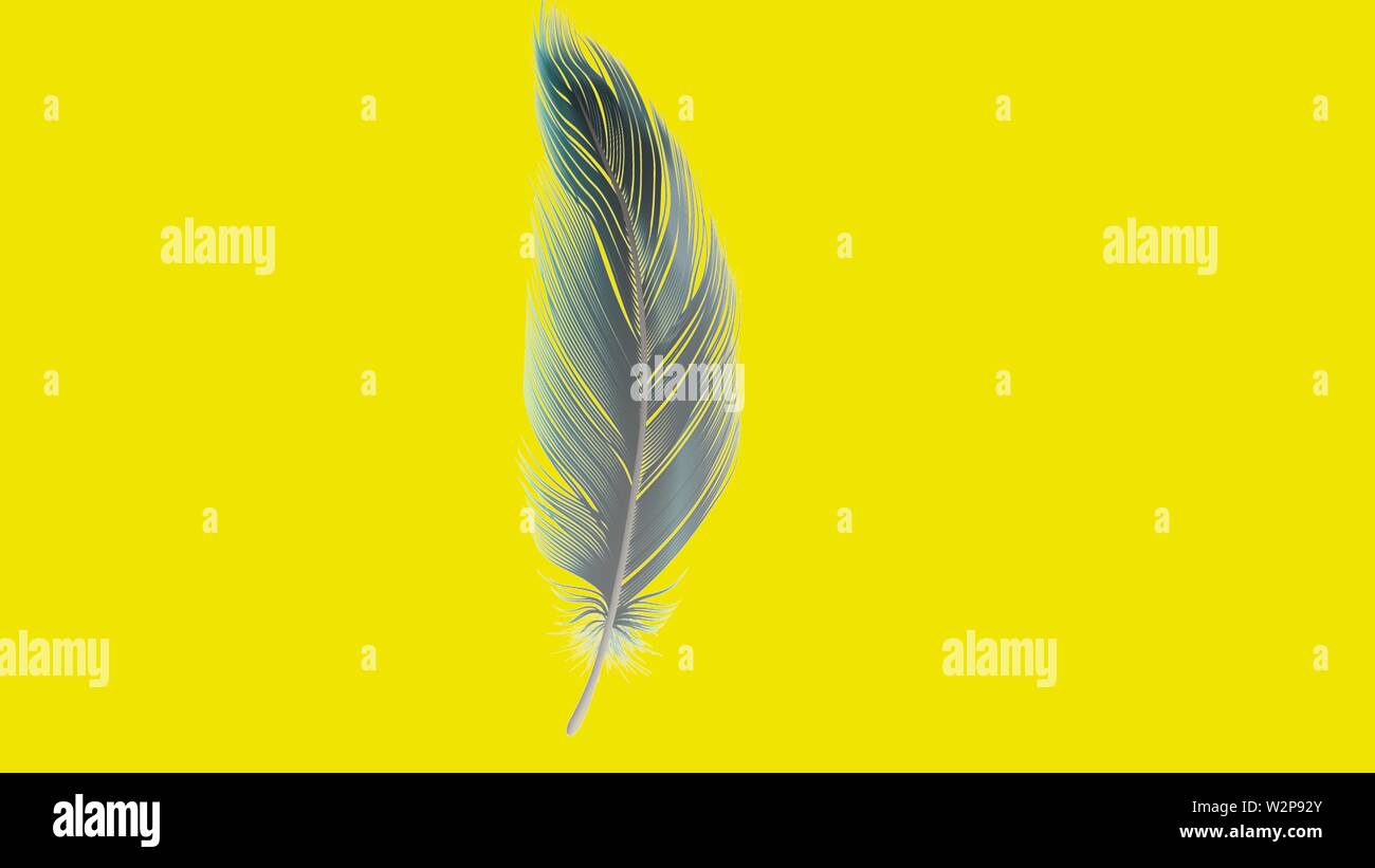 Soft silky feathers isolated on background with copy space for text and ...