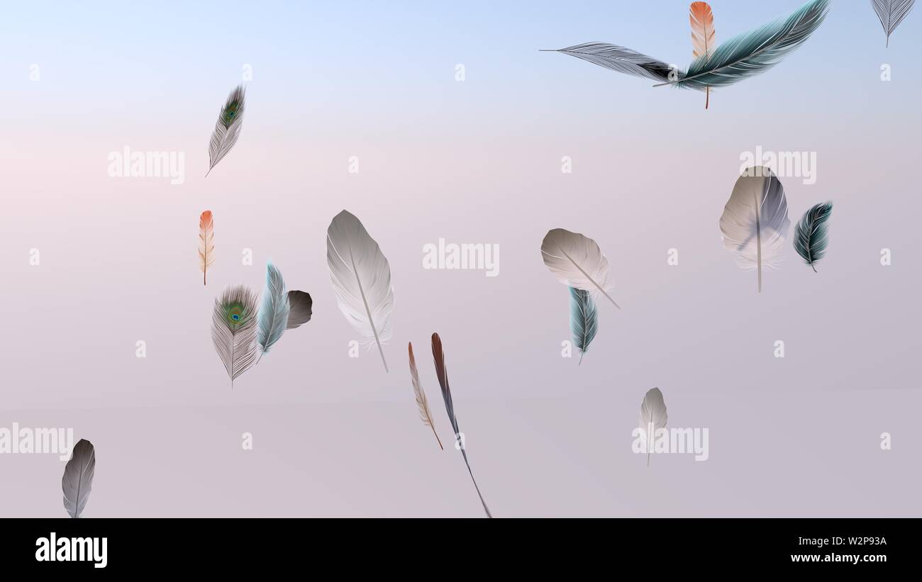 Soft silky feathers isolated on background with copy space for text and ...