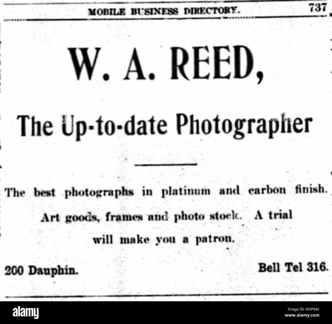 Reed photographer hi-res stock photography and images - Alamy