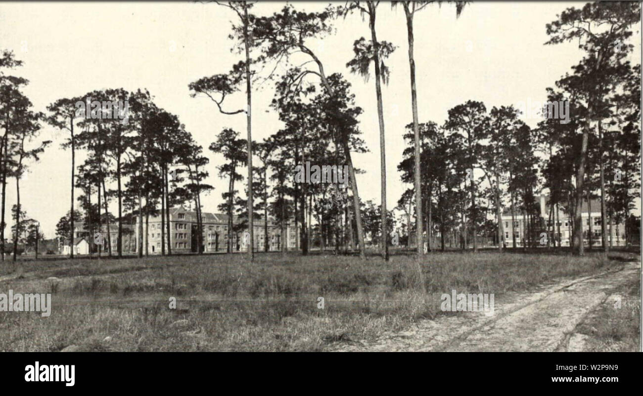 1911 University of Florida campus view Stock Photo - Alamy