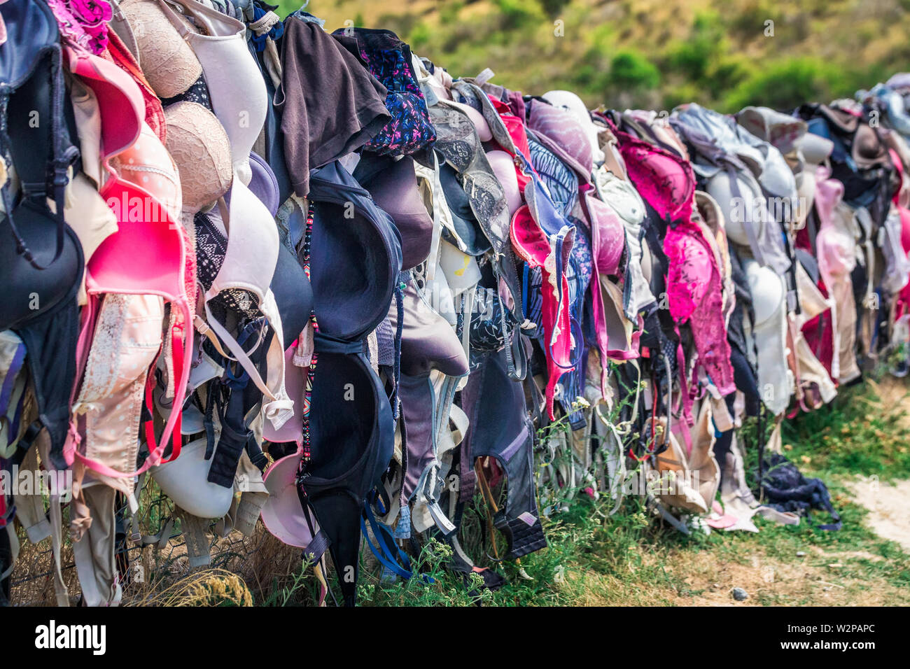 Touristic attraction called 'the Wall of Bras' in Cardrona or 'Bradrona ...