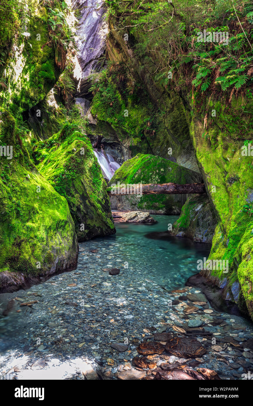 Waterfall at the Haast Pass road on New Zealand South Island Stock ...