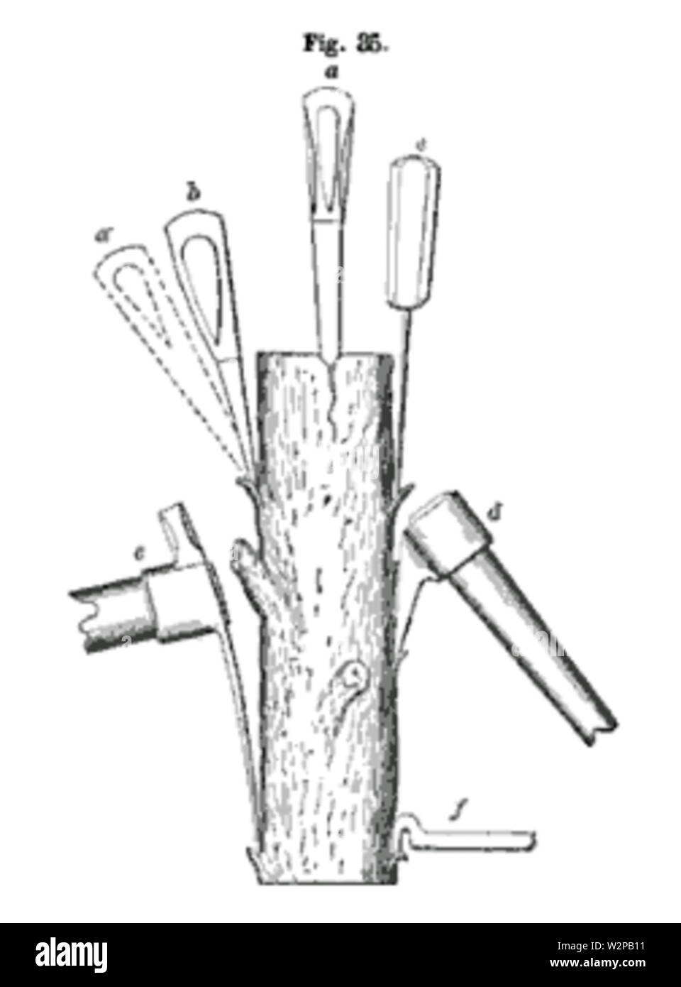 19th century knowledge carpentry and woodworking adze versus axe Stock ...