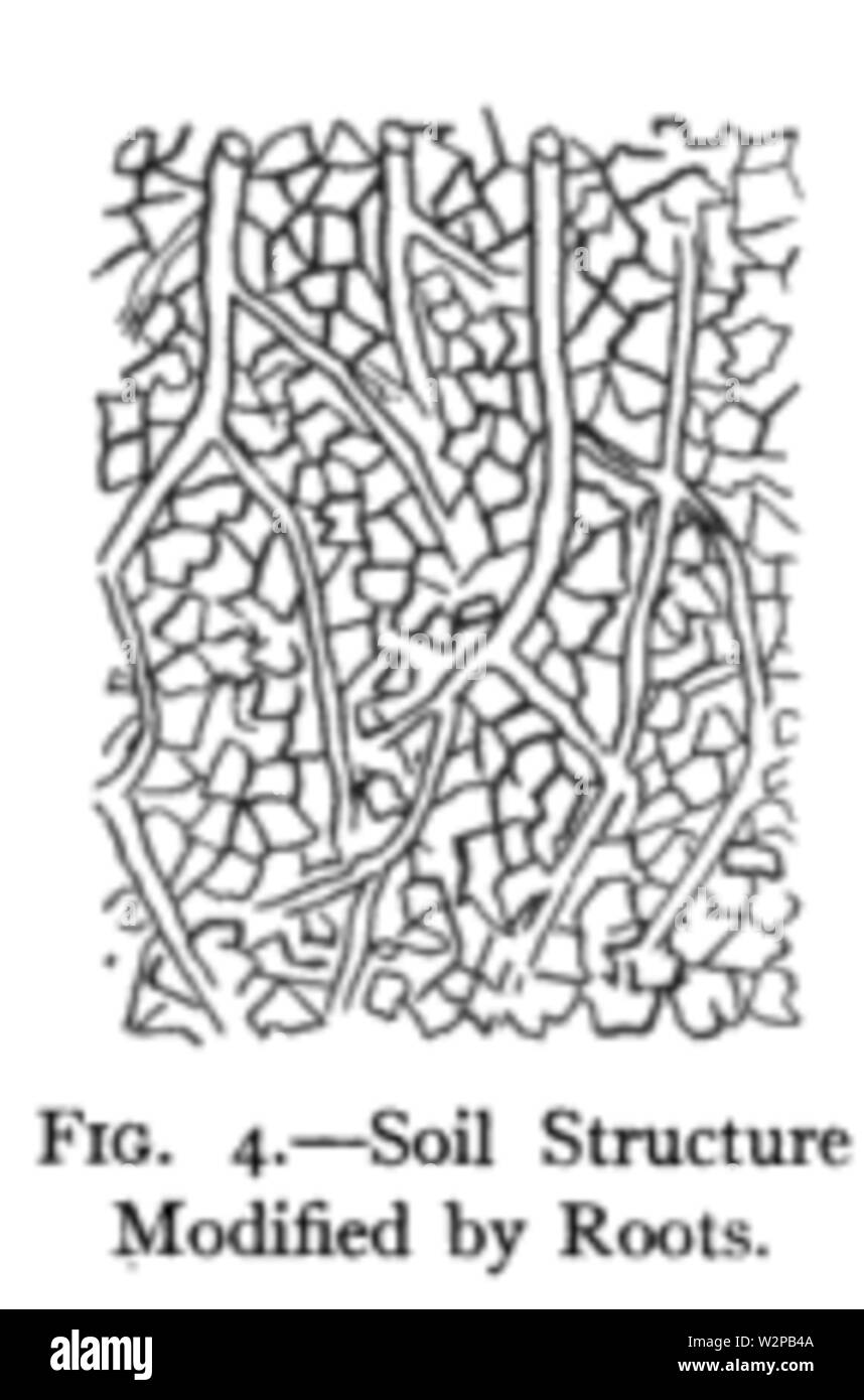 Modified structure hi-res stock photography and images - Alamy