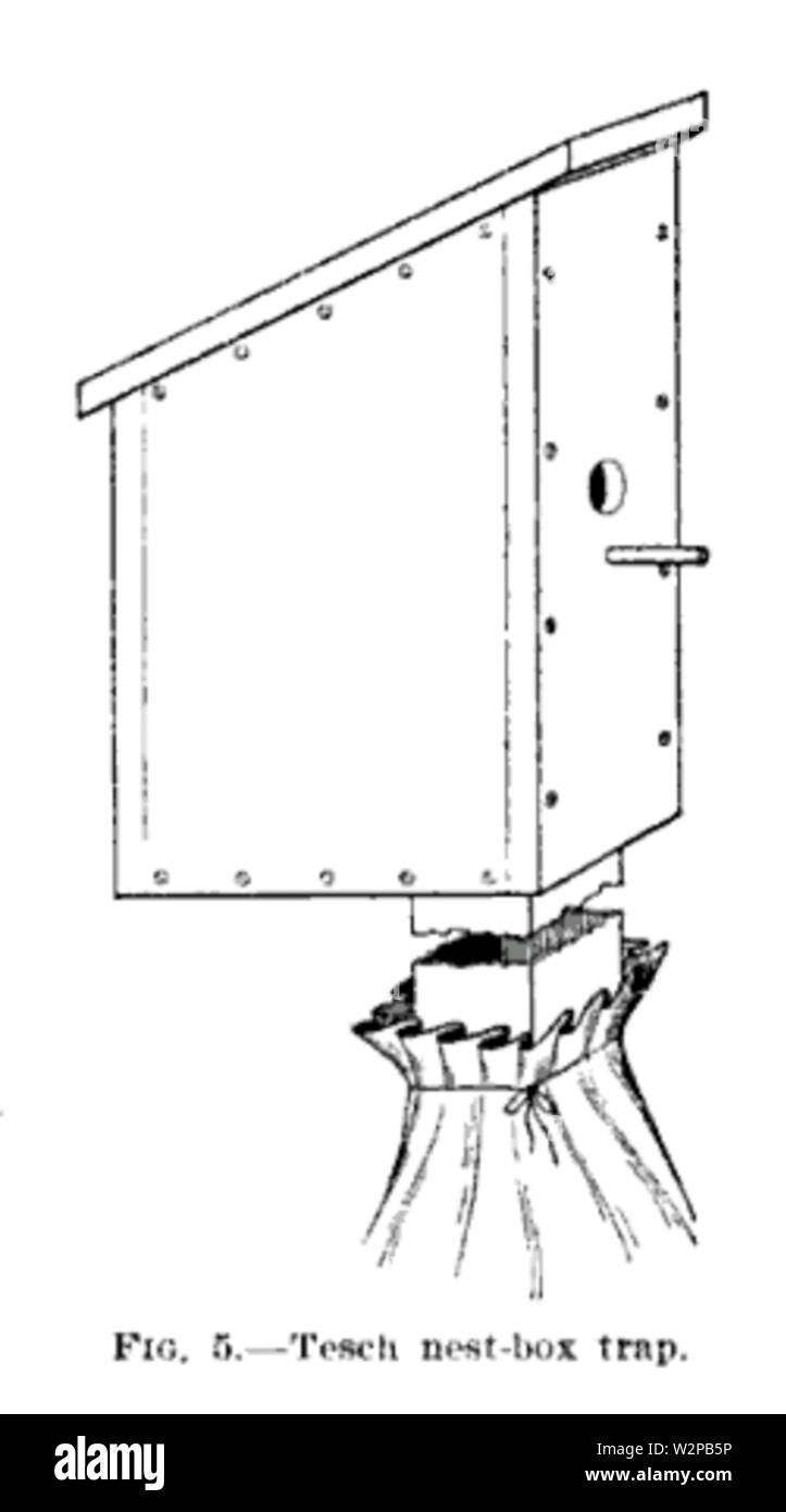 19th century knowledge traps and snares tesch nest box trap 1 Stock ...