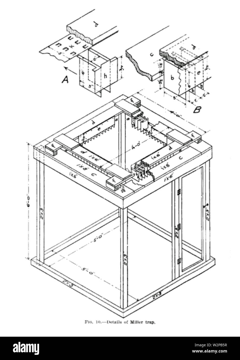 19th century nature study Cut Out Stock Images & Pictures - Alamy