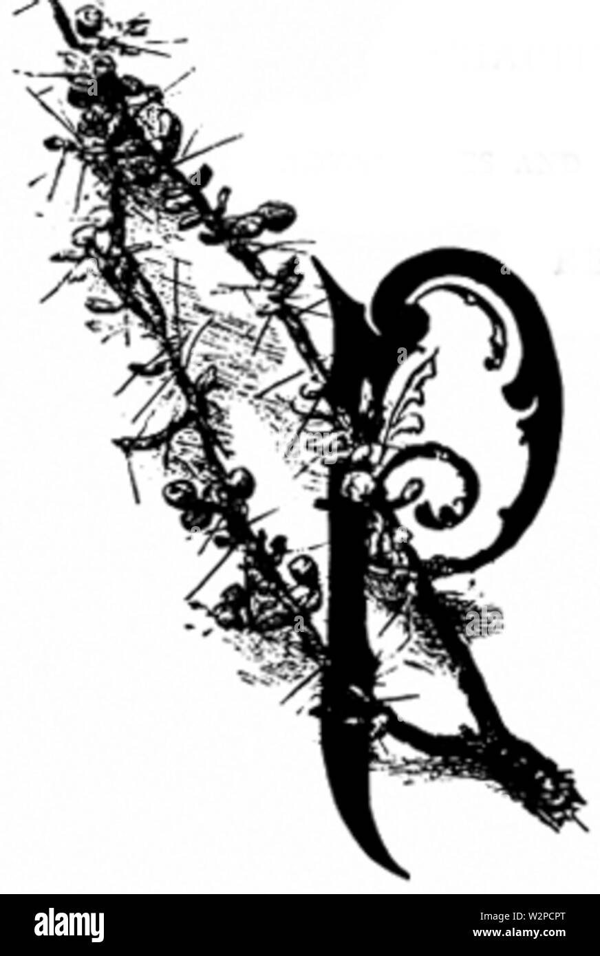 Ornate letter Black and White Stock Photos & Images - Alamy