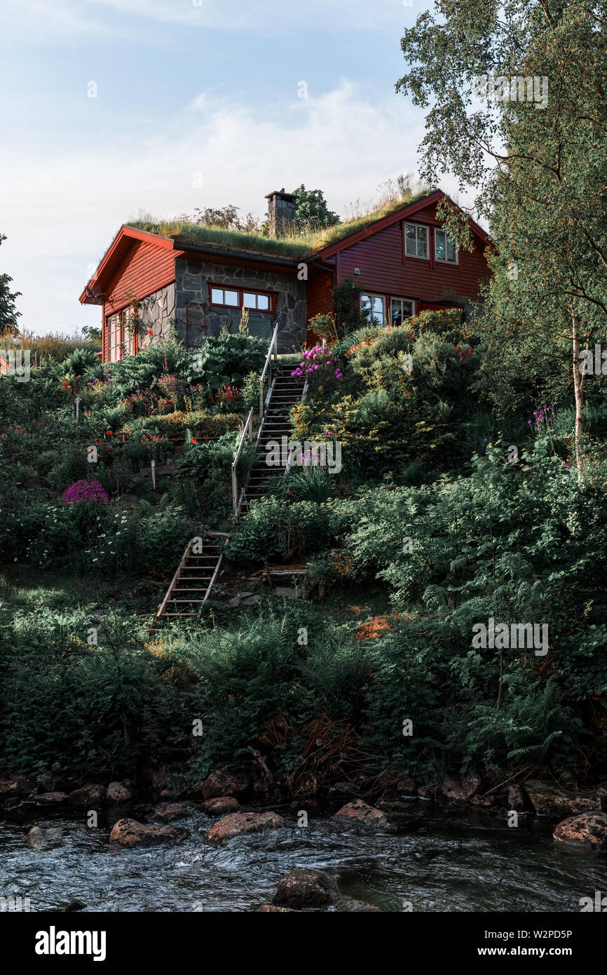 Traditional red house in Norway with sod roof and stairs through garden ...