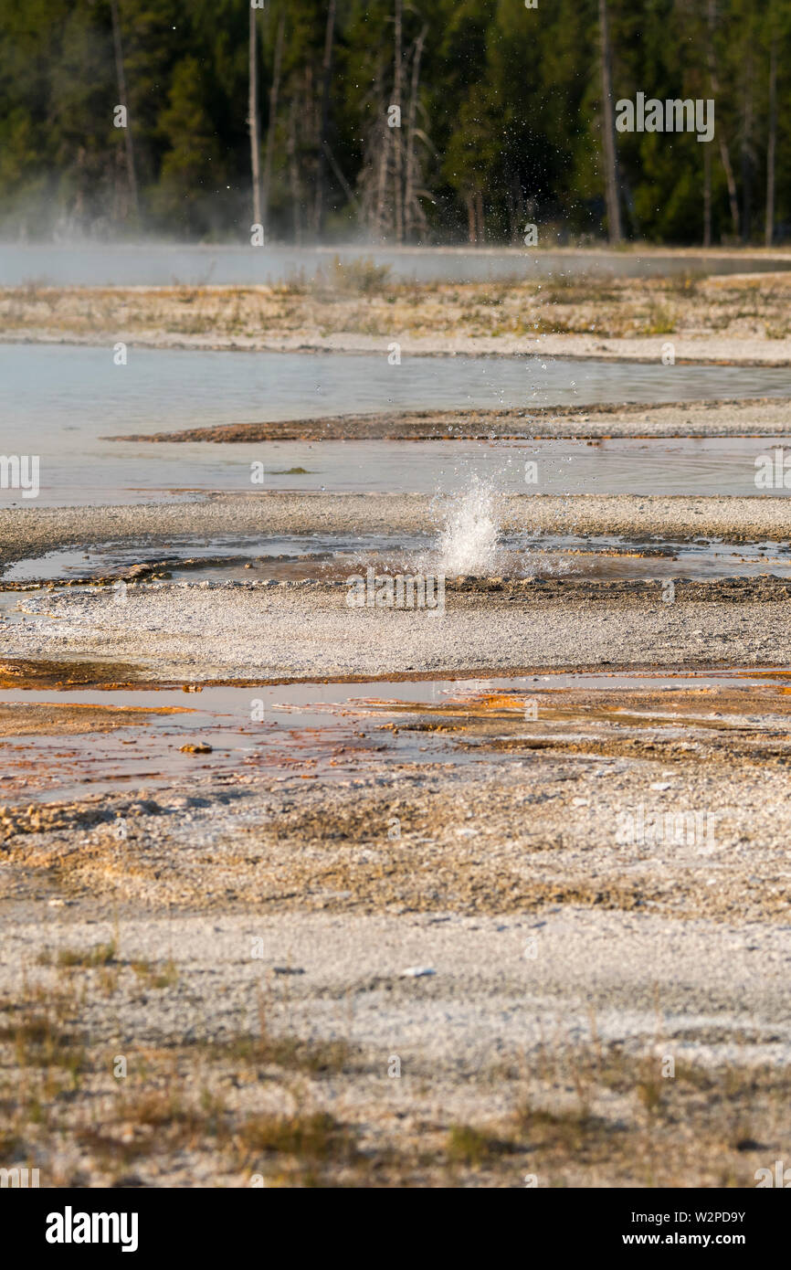 Geyser in Biscuit Basin in Yellowstone National Park in Wyoming Stock ...