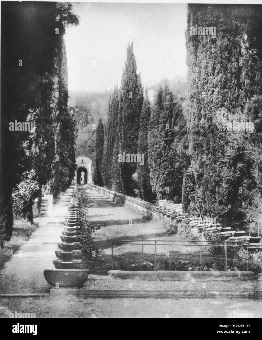 Web design website coding Black and White Stock Photos & Images - Alamy