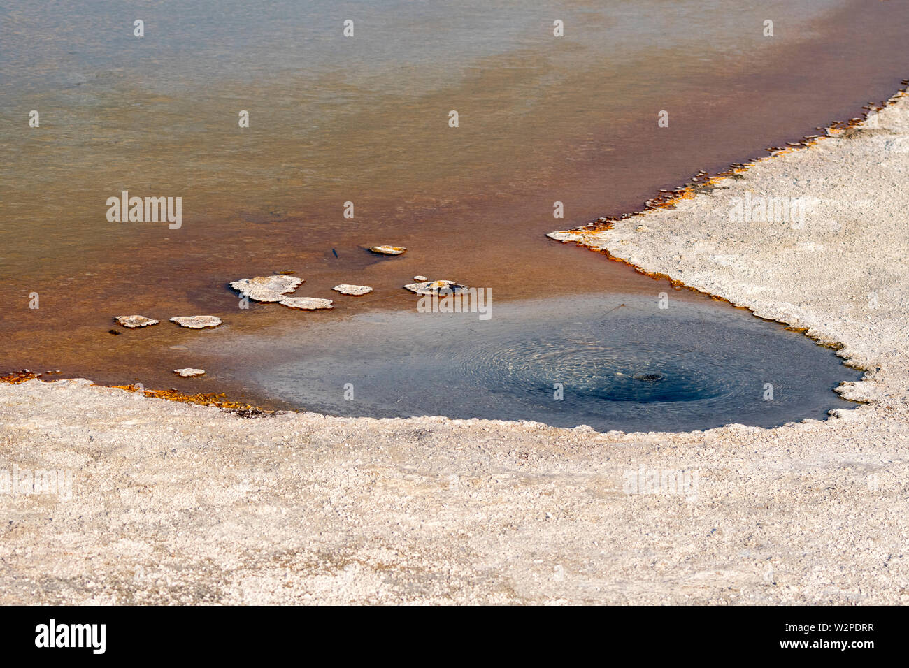 Geyser in Biscuit Basin in Yellowstone National Park in Wyoming Stock ...