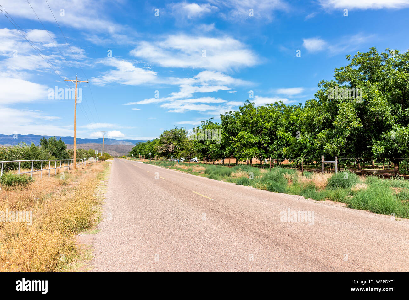 La Luz town in New Mexico with road street path and pistachio trees ...