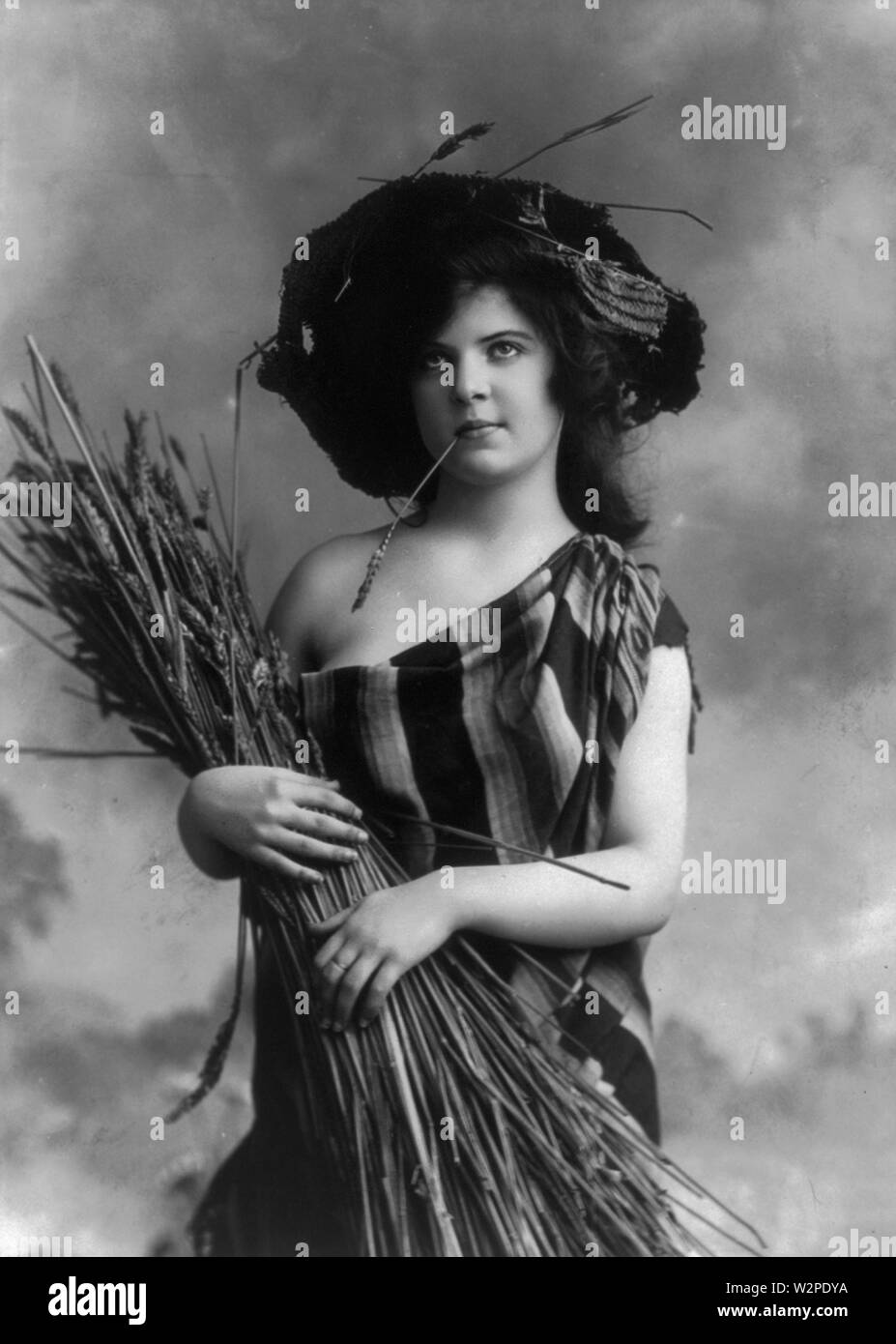 Hayseed hi-res stock photography and images - Alamy