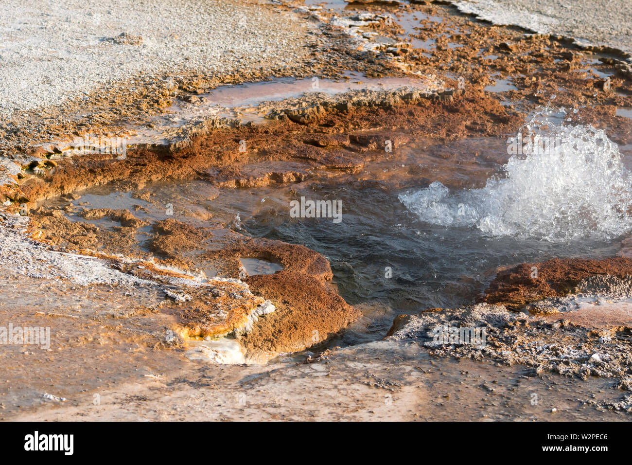 Geyser in Biscuit Basin in Yellowstone National Park in Wyoming Stock ...