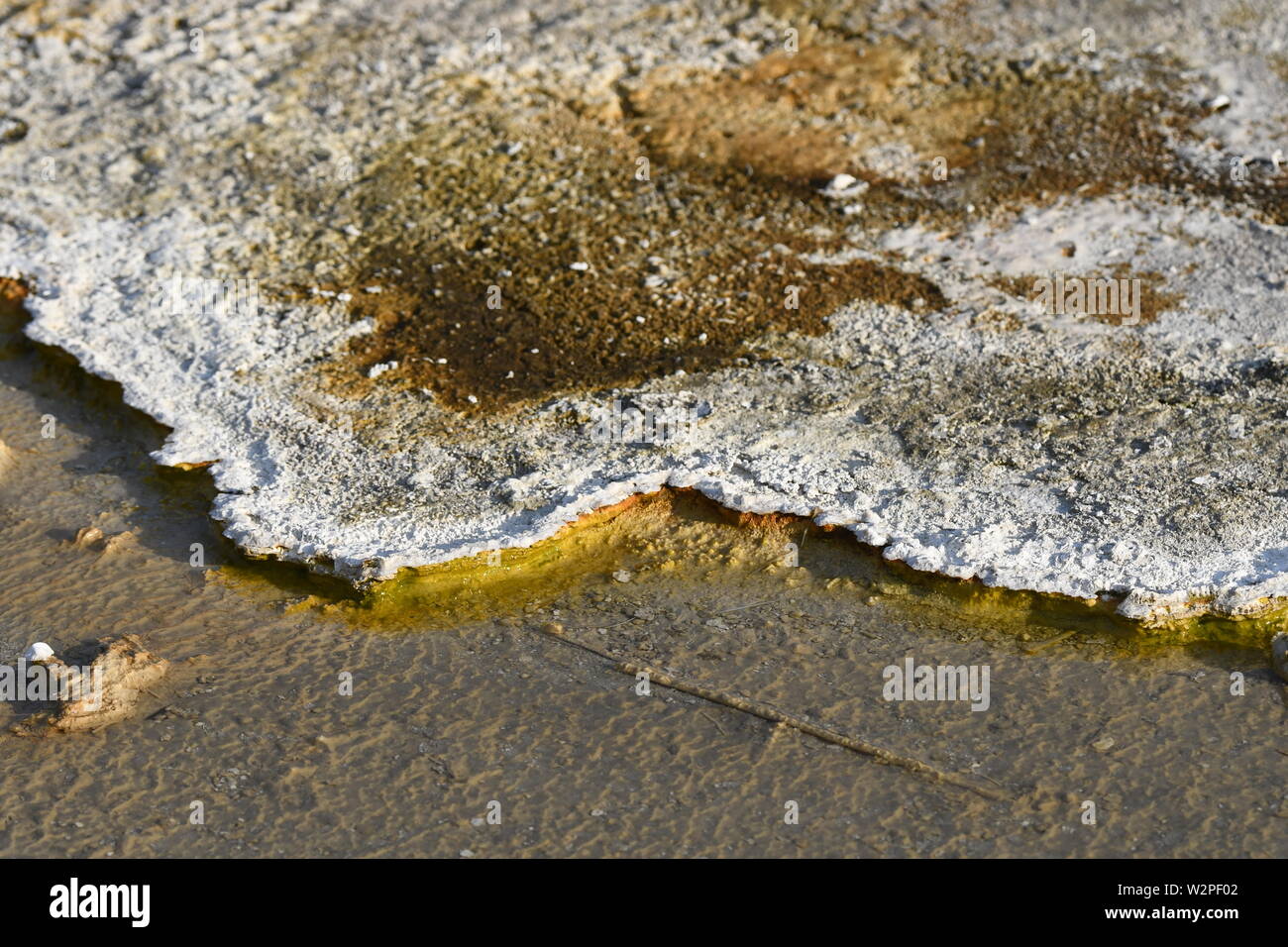 Geyser in Biscuit Basin in Yellowstone National Park in Wyoming Stock ...