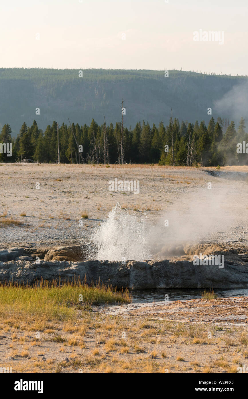Geyser in Biscuit Basin in Yellowstone National Park in Wyoming Stock ...