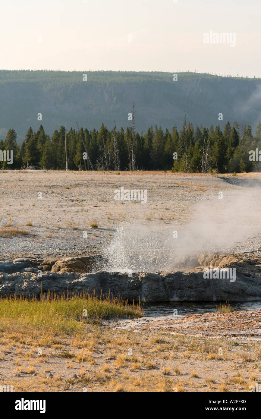 Geyser in Biscuit Basin in Yellowstone National Park in Wyoming Stock ...