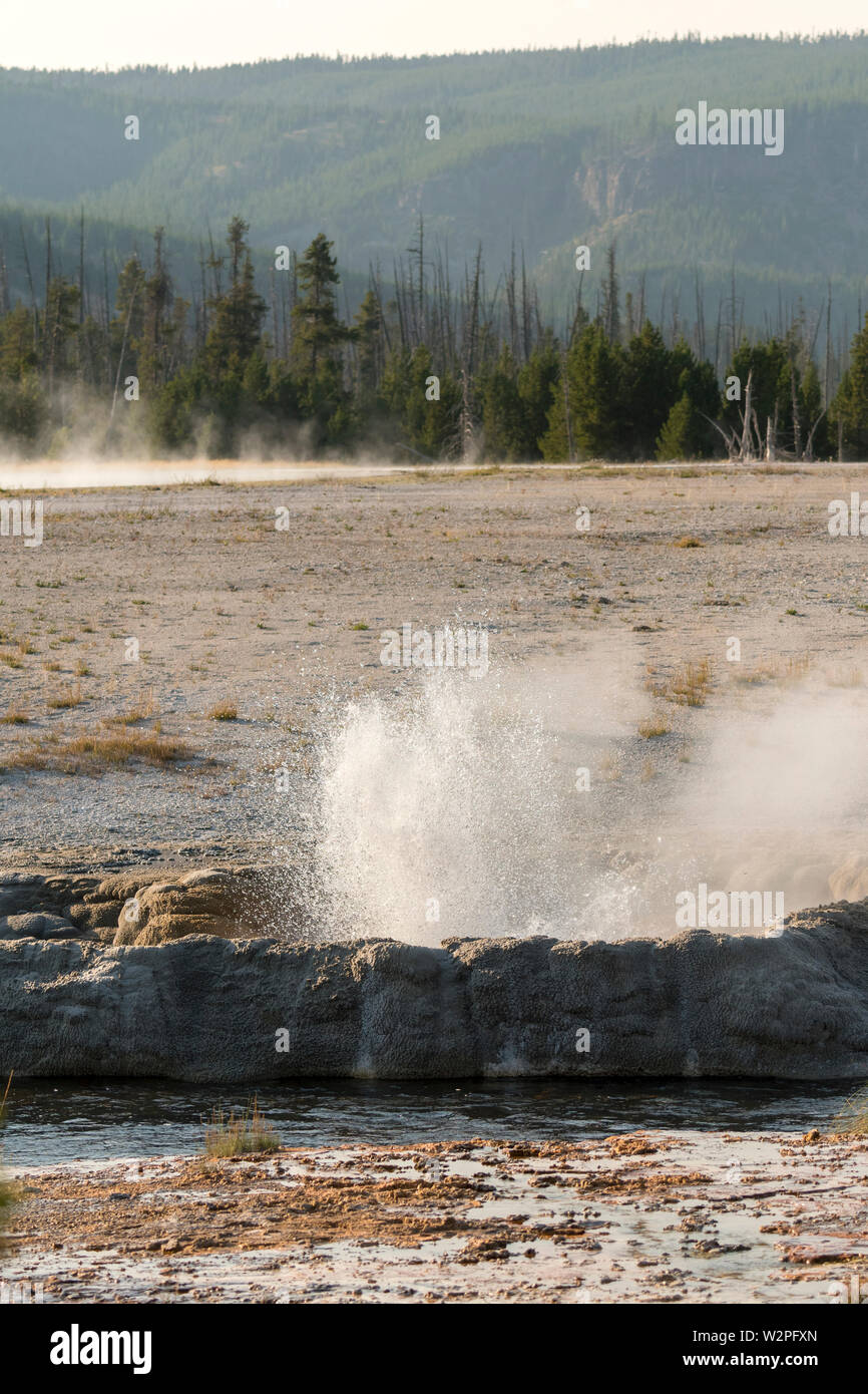 Geyser in Biscuit Basin in Yellowstone National Park in Wyoming Stock ...