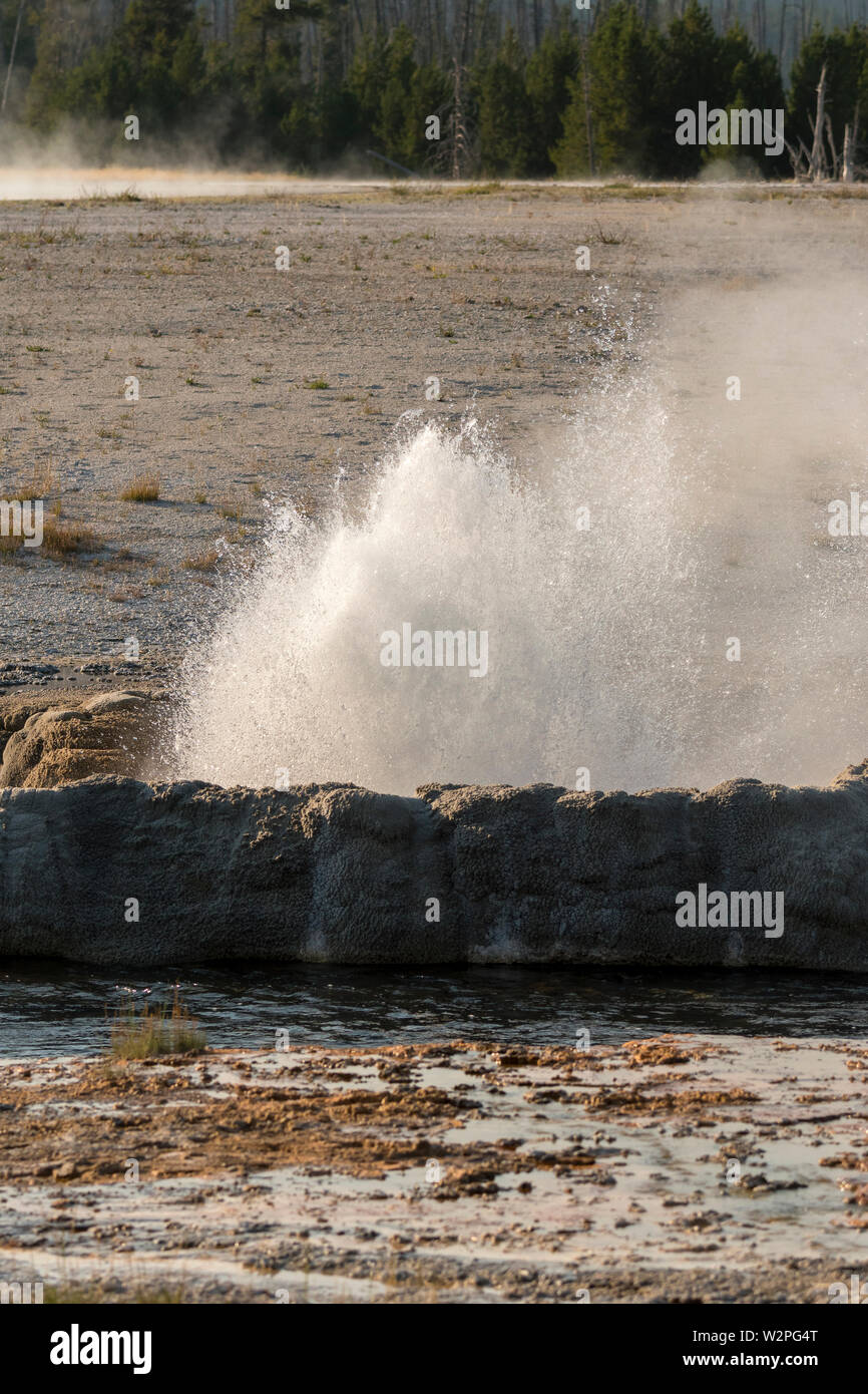 Geyser in Biscuit Basin in Yellowstone National Park in Wyoming Stock ...