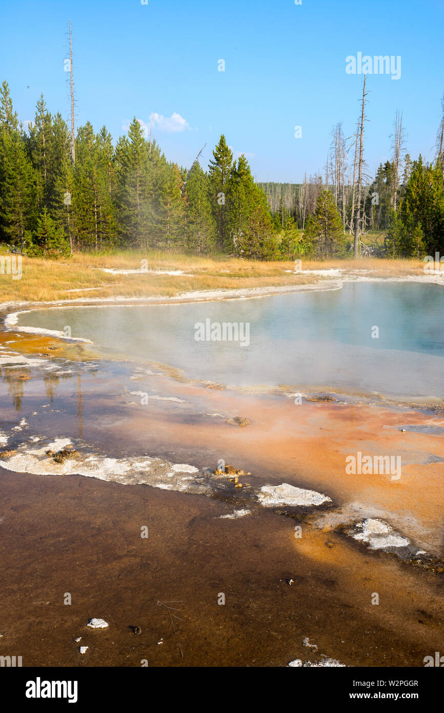 Geyser in Biscuit Basin in Yellowstone National Park in Wyoming Stock ...