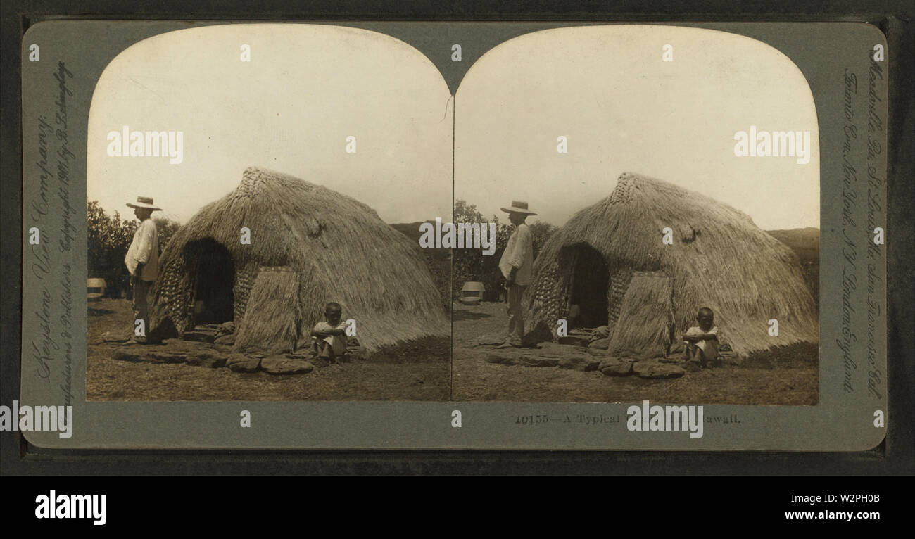 Grass hut hawaii hi-res stock photography and images - Alamy