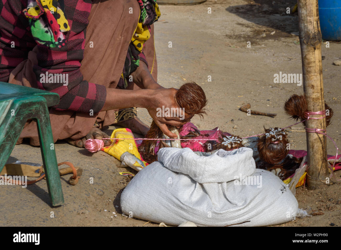 Ajmer, India - February 07, 2019: Indian woman makes fake Kasturi Deer ...