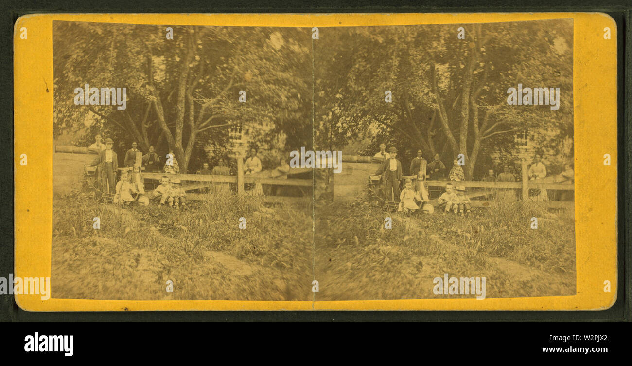 Adults and children posing in the garden, from Robert N Dennis ...