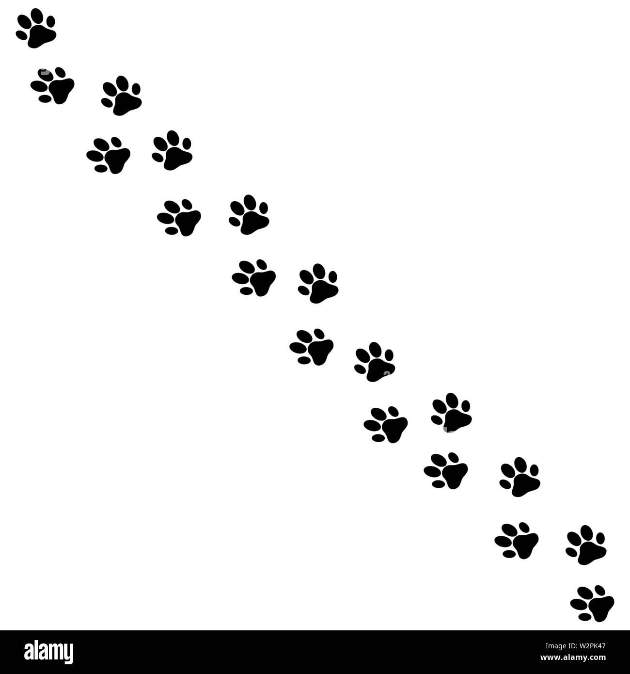 Cat print dog Cut Out Stock Images & Pictures - Alamy