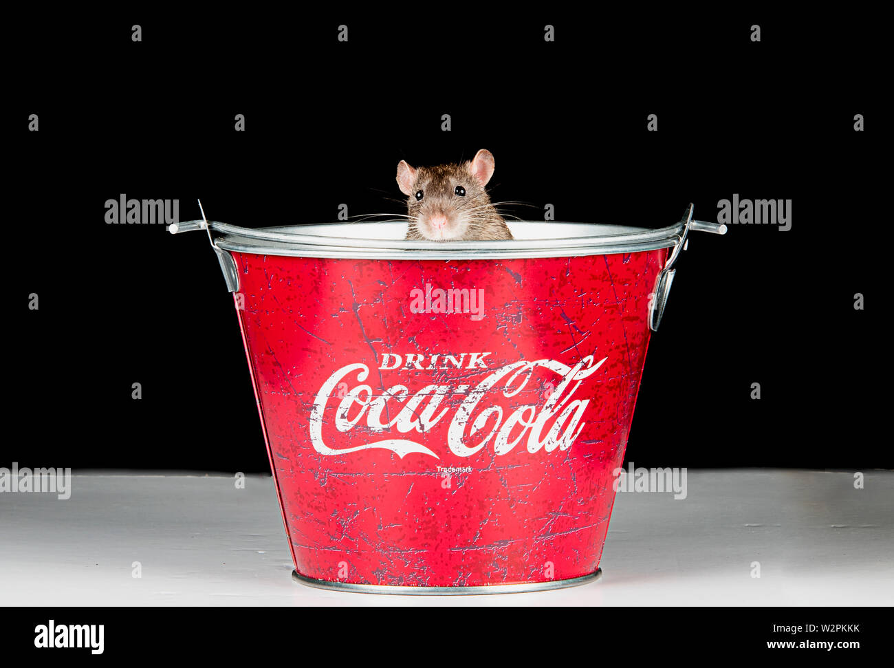 Coke bucket hi-res stock photography and images - Alamy