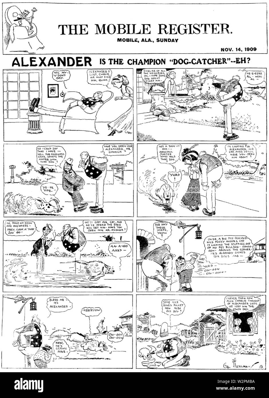 Cat history Cut Out Stock Images & Pictures - Alamy