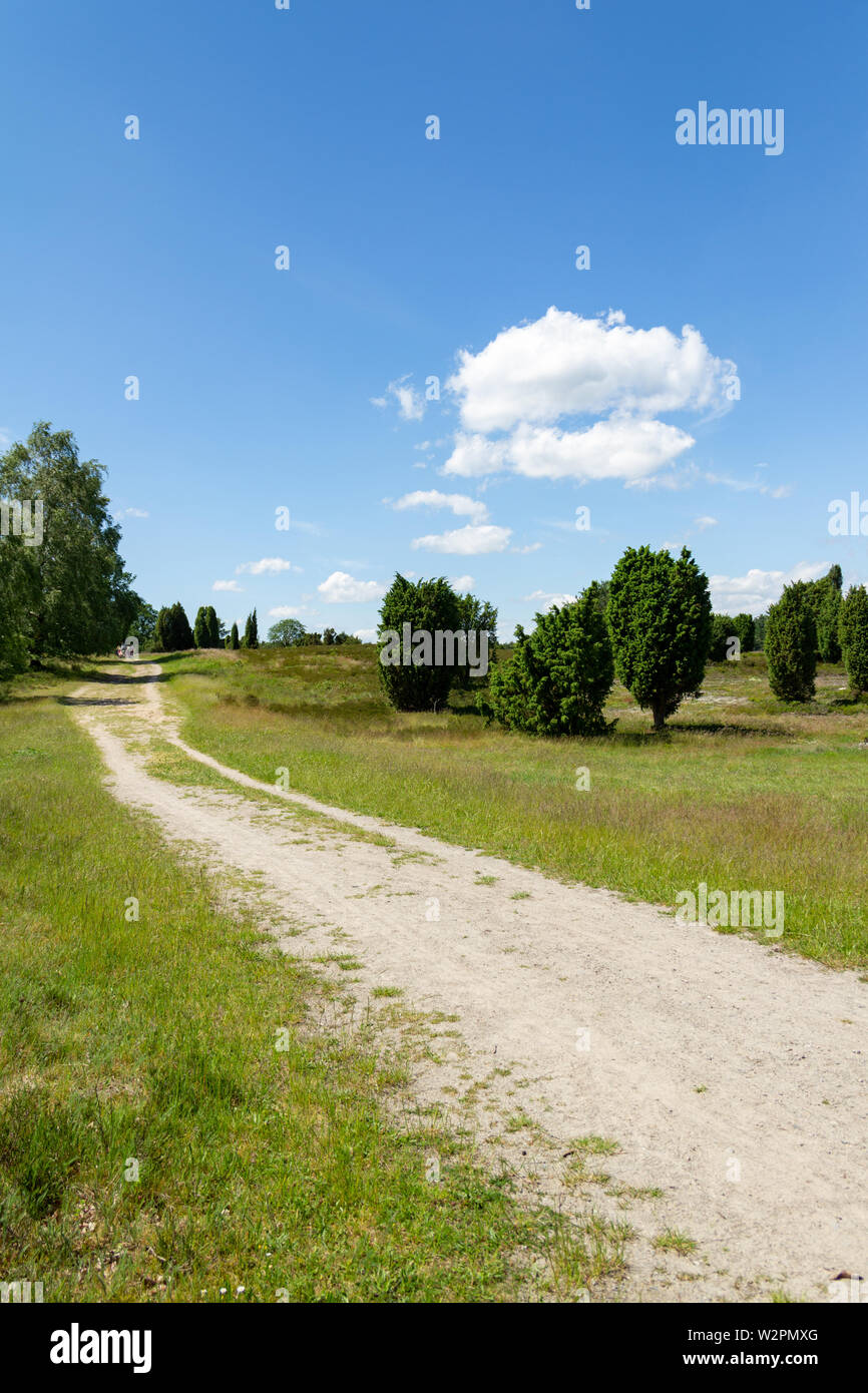 Natural travel path in heath landscape Stock Photo - Alamy