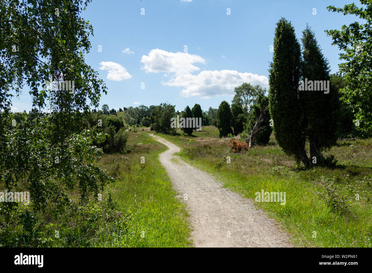 Natural travel path in heath landscape Stock Photo - Alamy