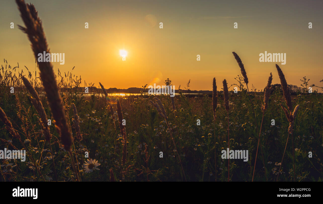 Scenic countryside landscape before sunset, in summer Stock Photo - Alamy