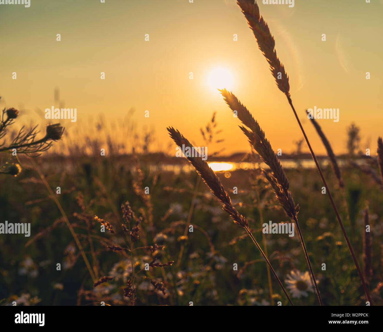 Splendid landscape hi-res stock photography and images - Alamy