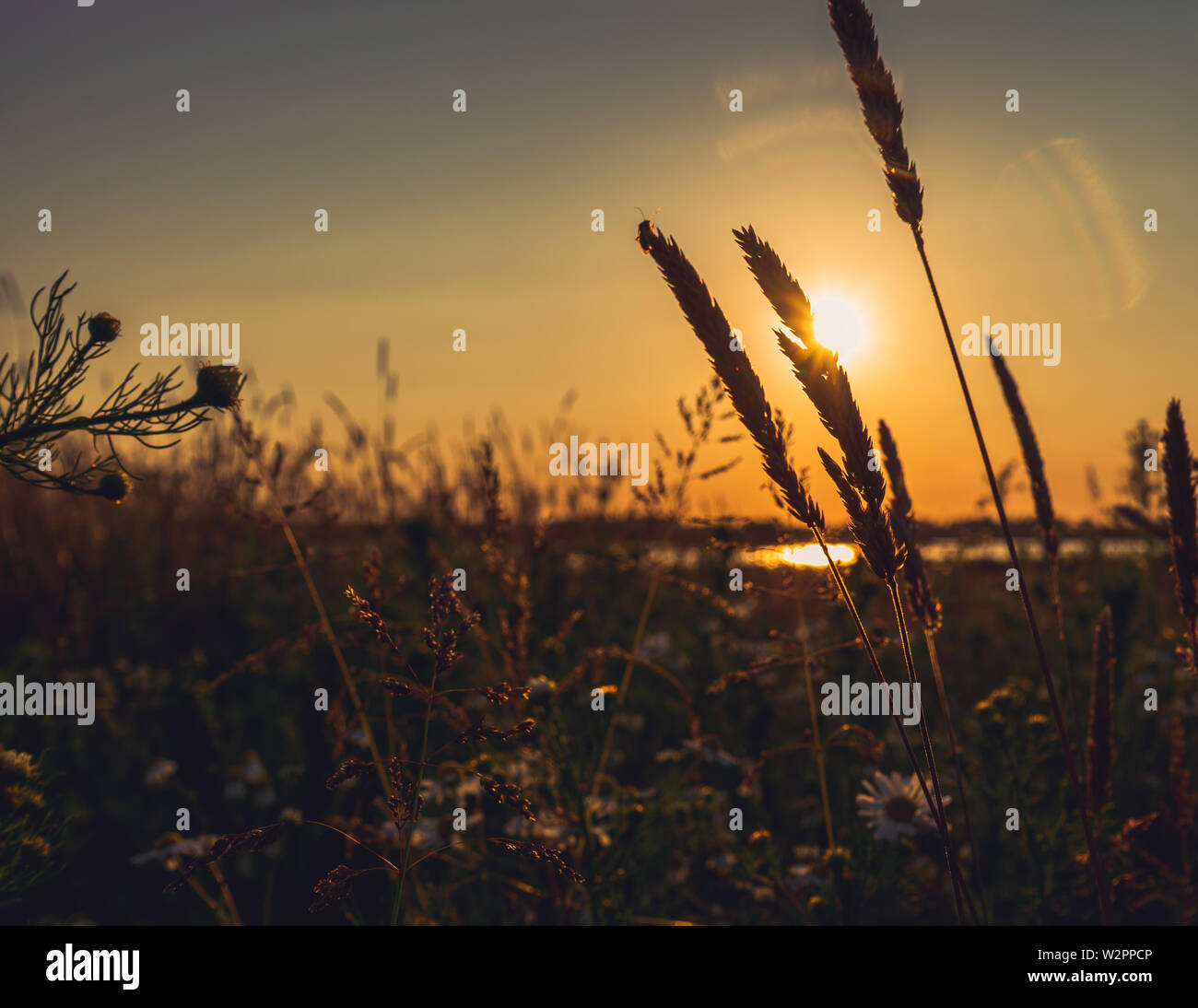 Panorama groningen hi-res stock photography and images - Alamy