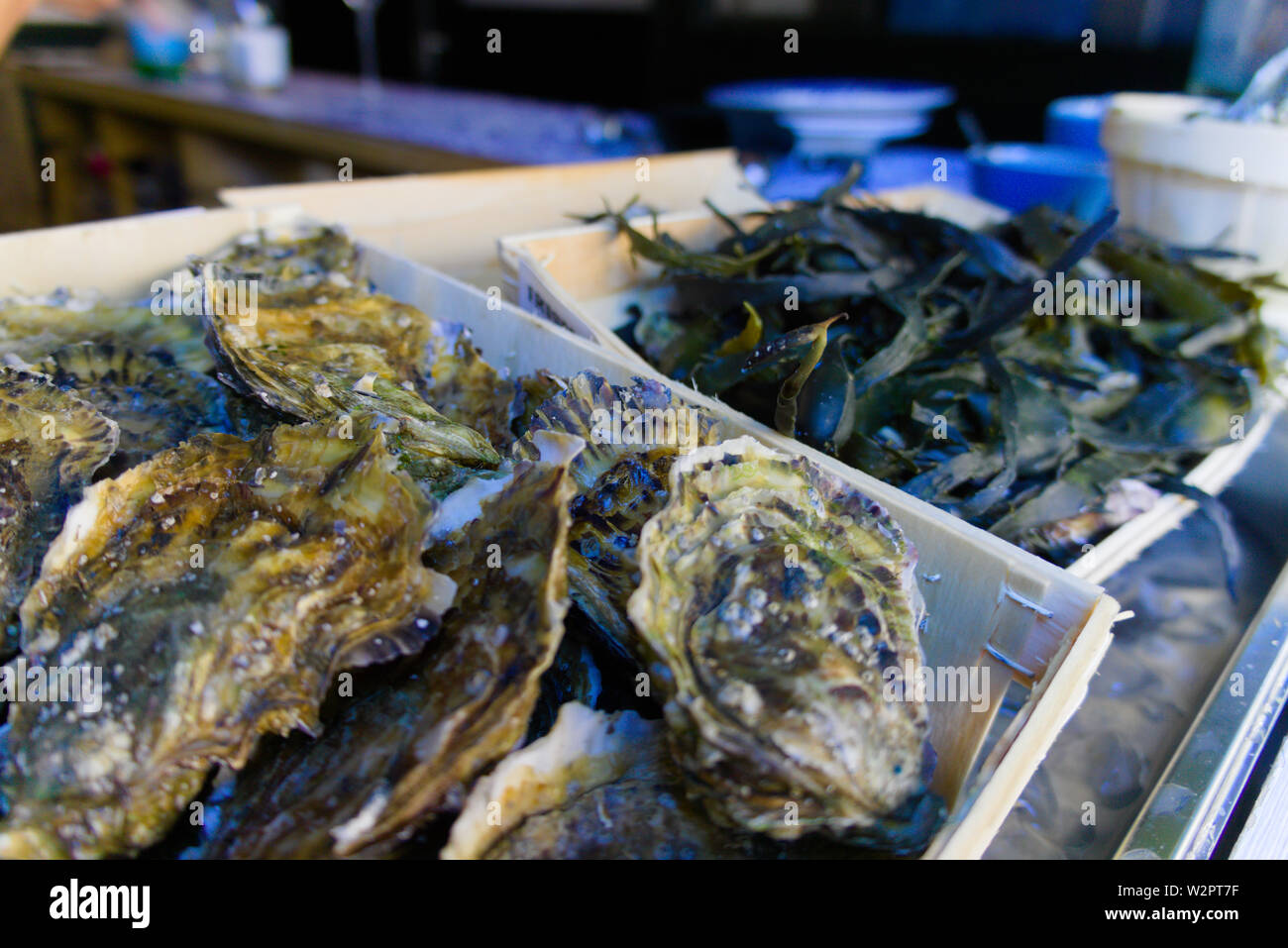 Dutch mussels hi-res stock photography and images - Alamy