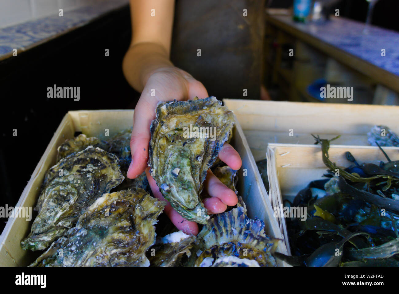 dutch Mussels sold on the street fair Stock Photo - Alamy