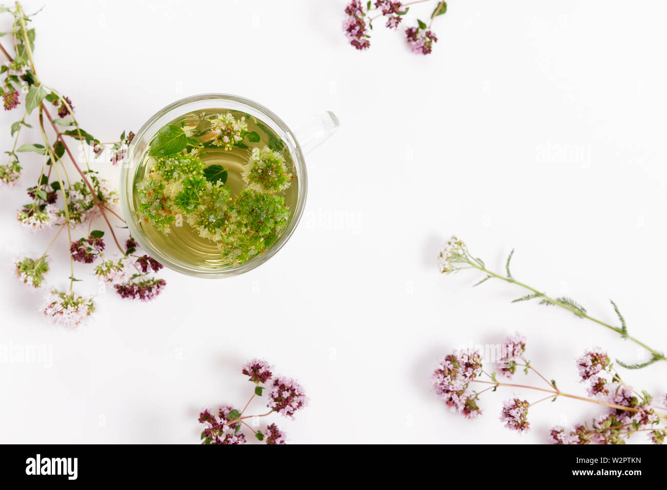 Herbal tea with origanum isolated on white background Stock Photo - Alamy