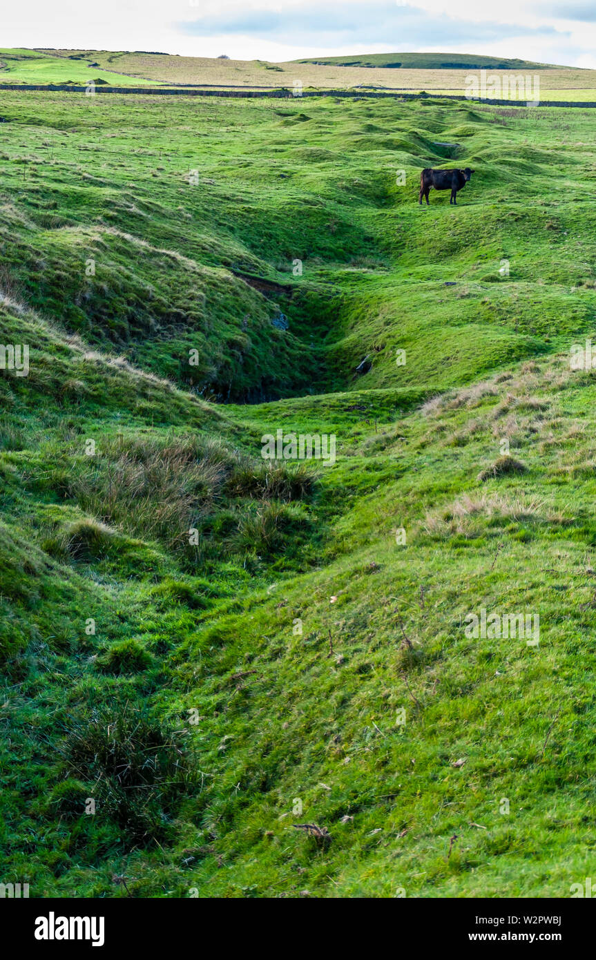 Hillocks and shaft hollows marking the line of Wrangling Rake, a major ...