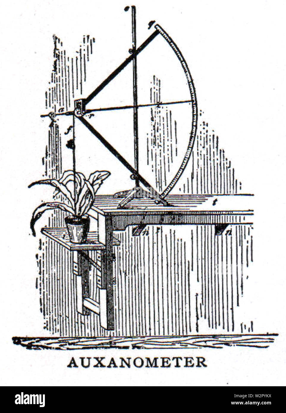 Auxanometer hi-res stock photography and images - Alamy