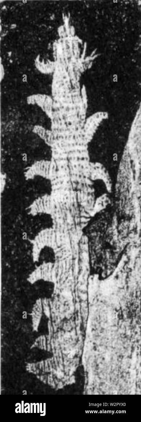 The walcott hi-res stock photography and images - Alamy