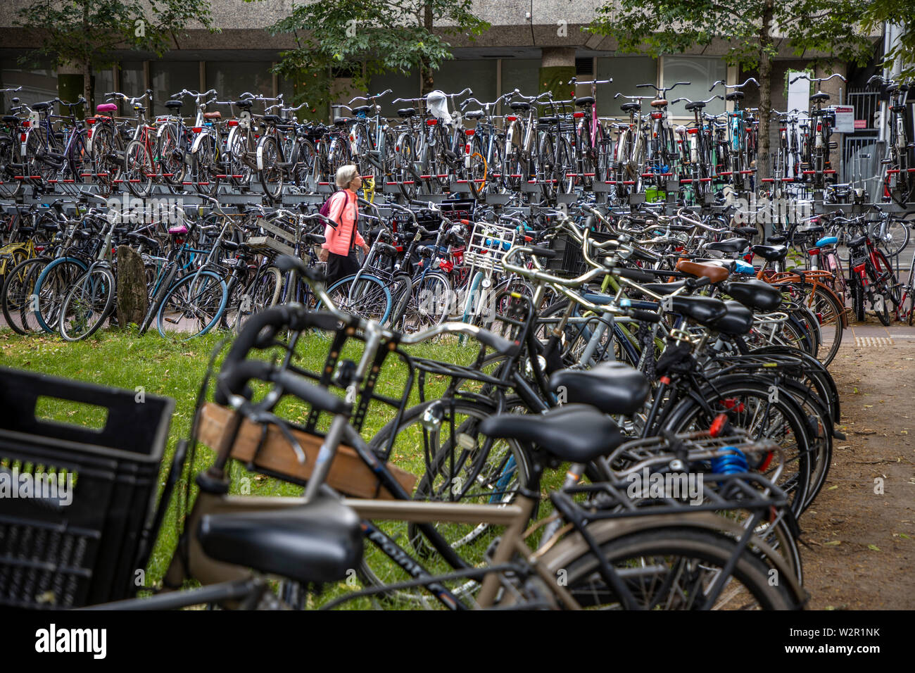 Utrecht, the Netherlands, bicycle traffic in the city center, 60% of ...