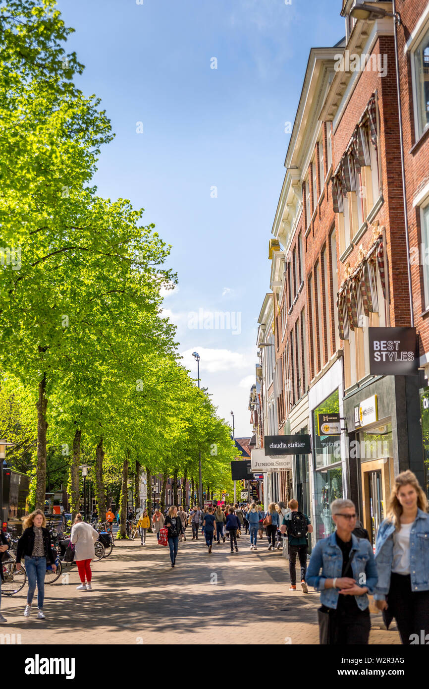 Green roof groningen hi-res stock photography and images - Alamy