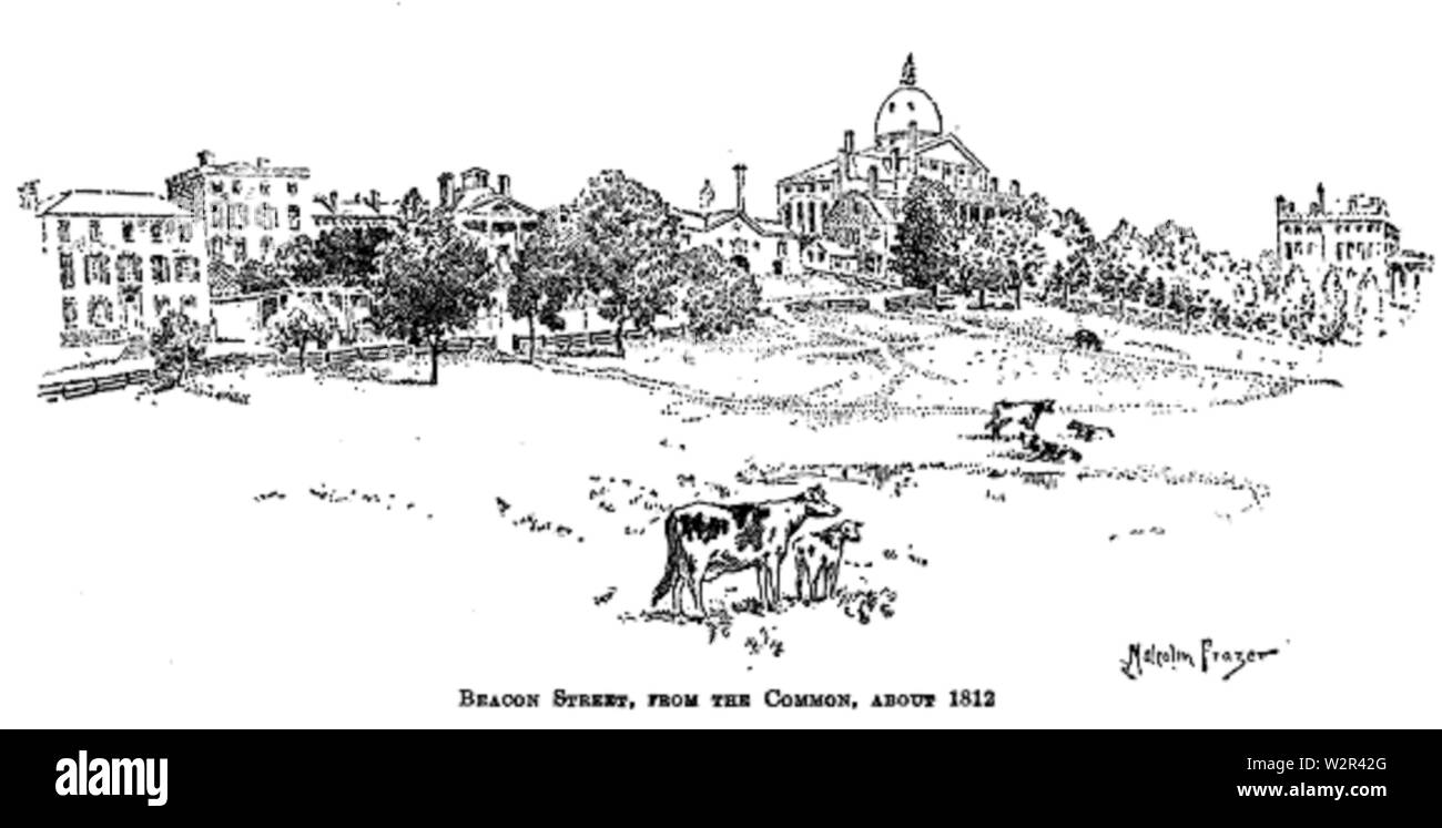 Bostoncommon Cut Out Stock Images & Pictures - Alamy