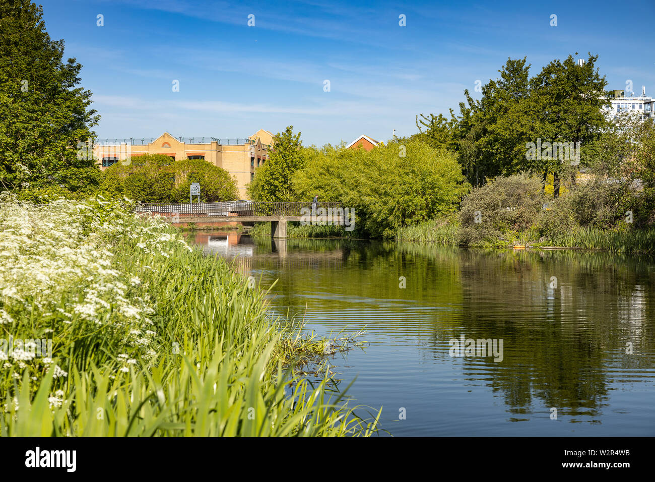 Chelmsford hi-res stock photography and images - Alamy