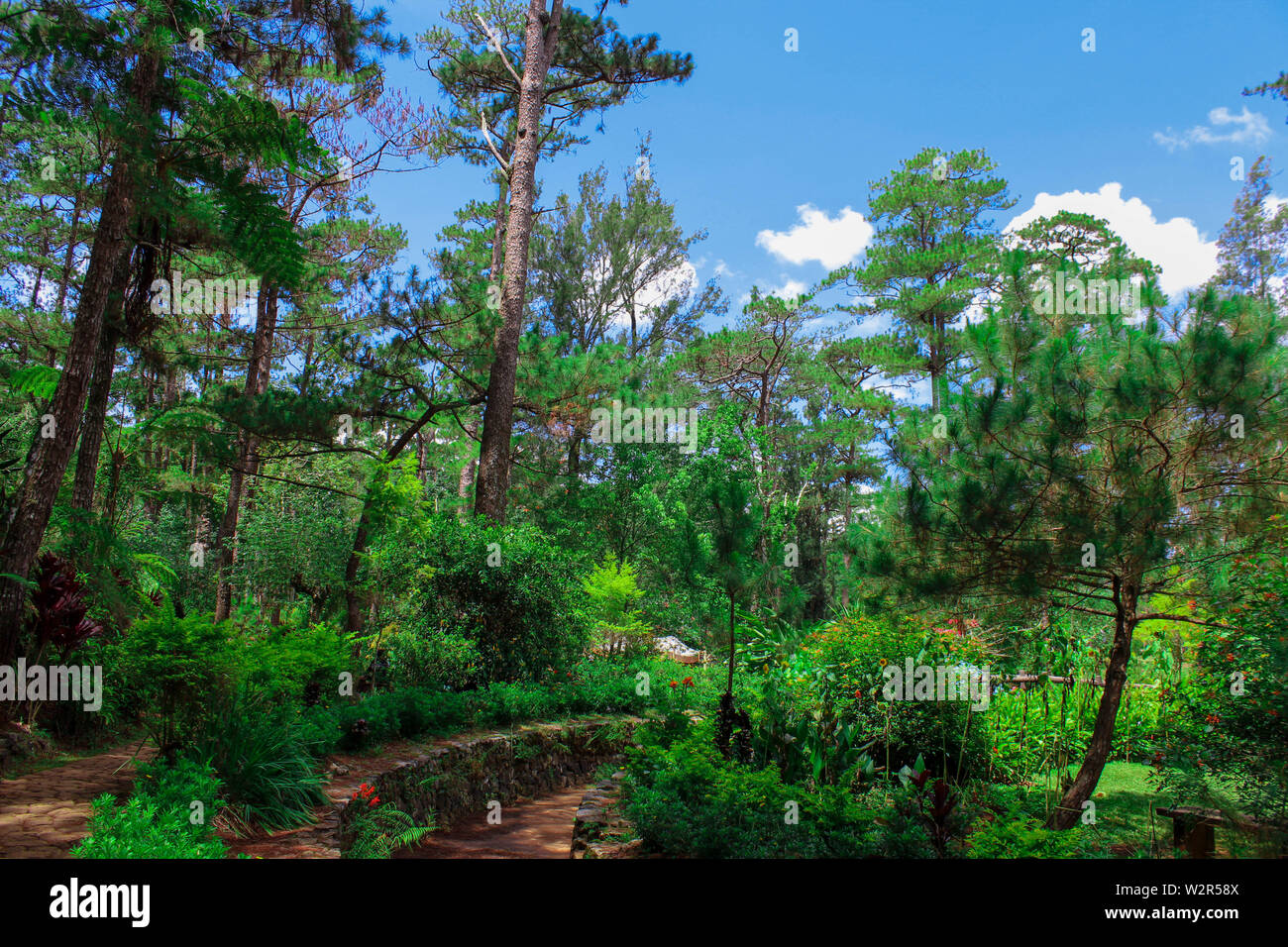 Baguio garden hi-res stock photography and images - Alamy