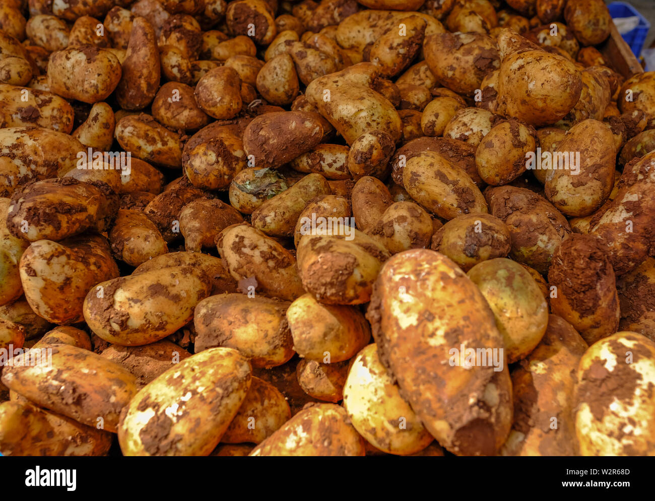 Best potato hi-res stock photography and images - Alamy