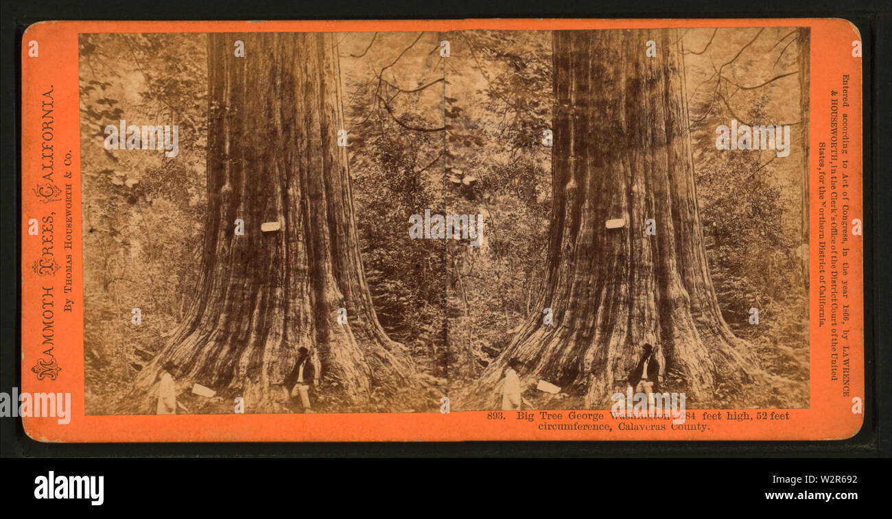 52 feet hi-res stock photography and images - Alamy