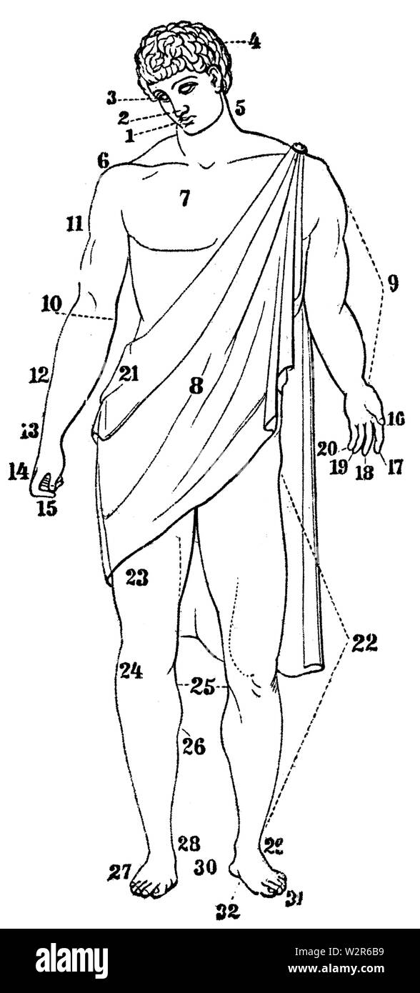 Kropp Cut Out Stock Images & Pictures - Alamy